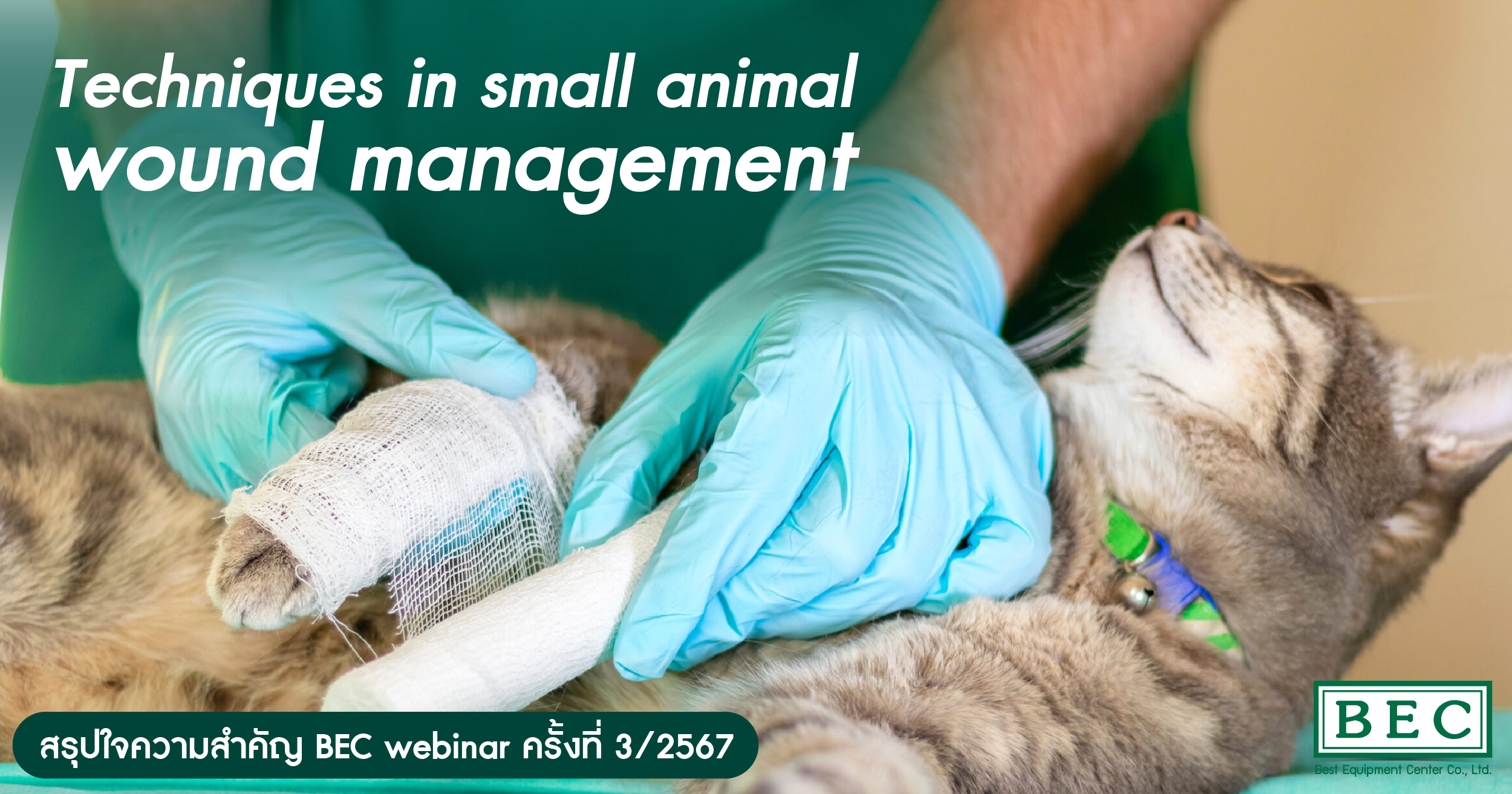 Techniques in small animal wound management | Best Equipment Center Co ...