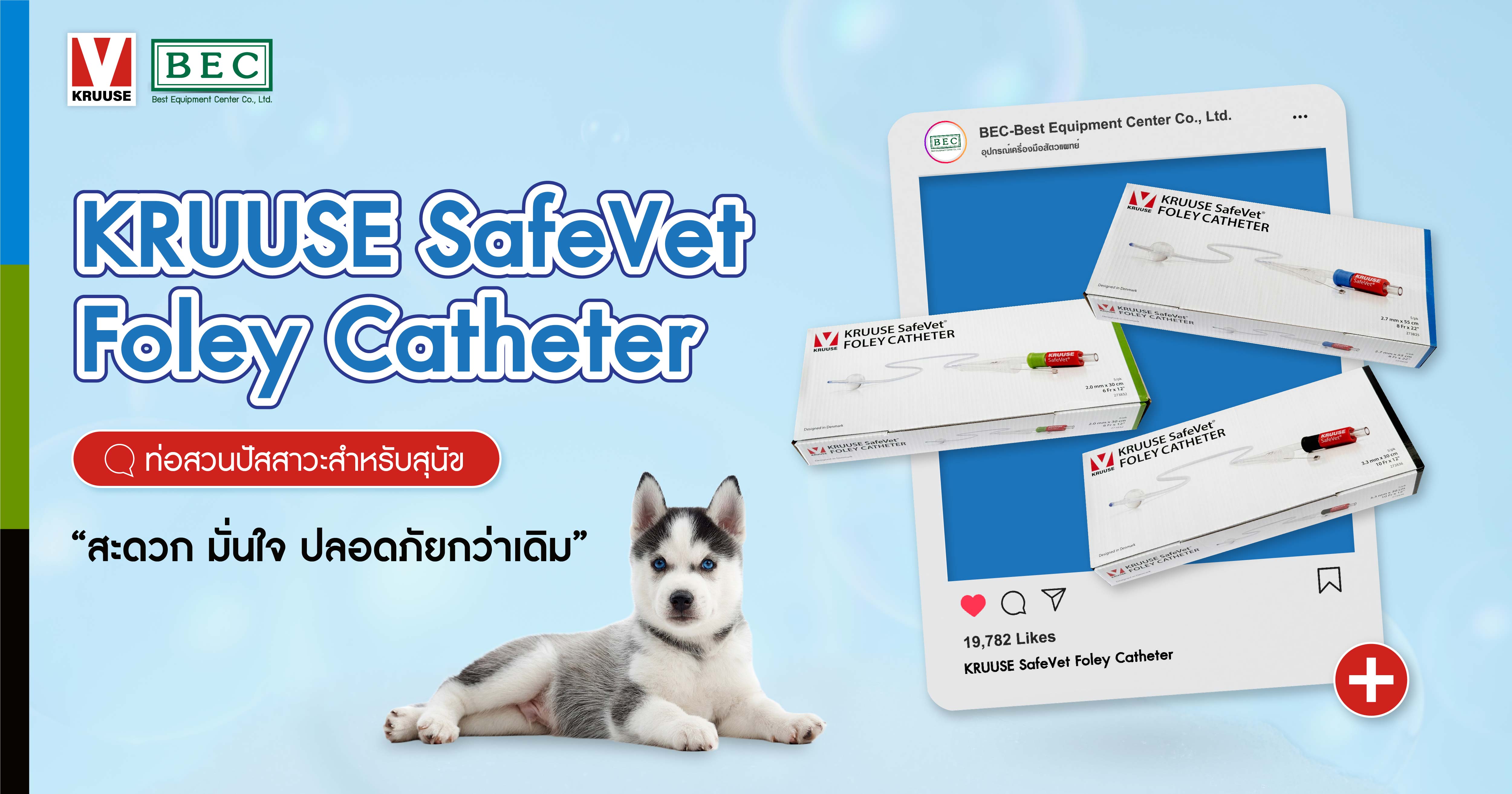 KRUUSE Safe Vet Foley Catheter สายสวนปัสสาวะสัตว์เลี้ยง | Best ...