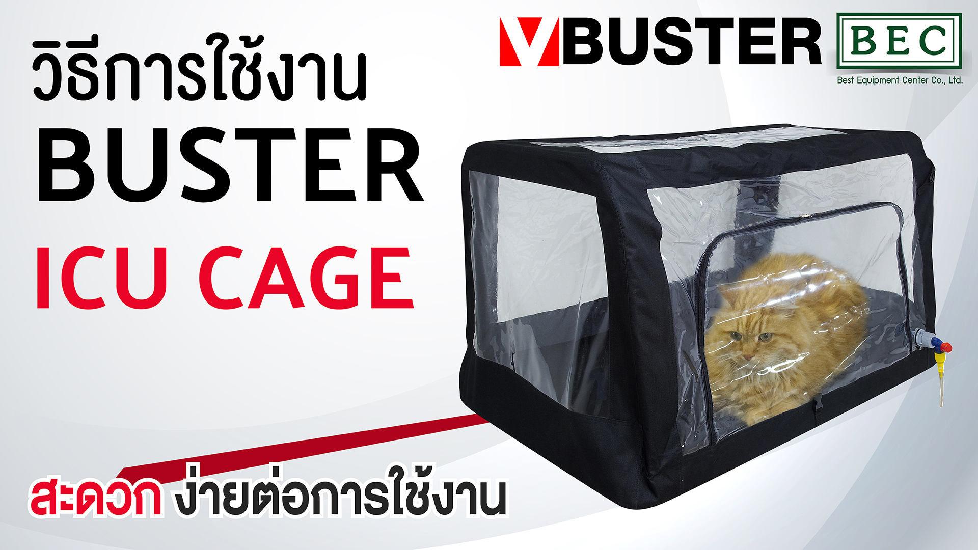BUSTER ICU Cages - Setup | Best Equipment Center Co., Ltd. (BEC)